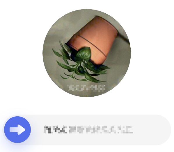 Vision Engine| Capsolver